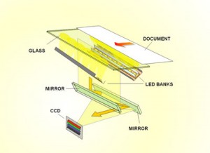 Bi-directional LEDs - Colortrac